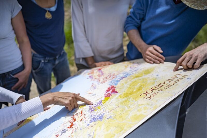 Sète: HalfDay Wine Tour - An In-Depth Look at the Experience