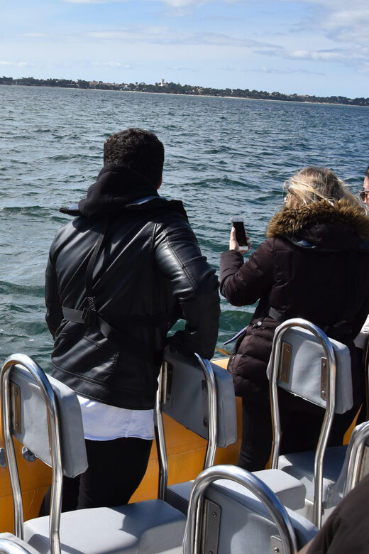 Setúbal and Tróia: Dolphin Watching and Arrábida Bays - Starting Points and Flexibility