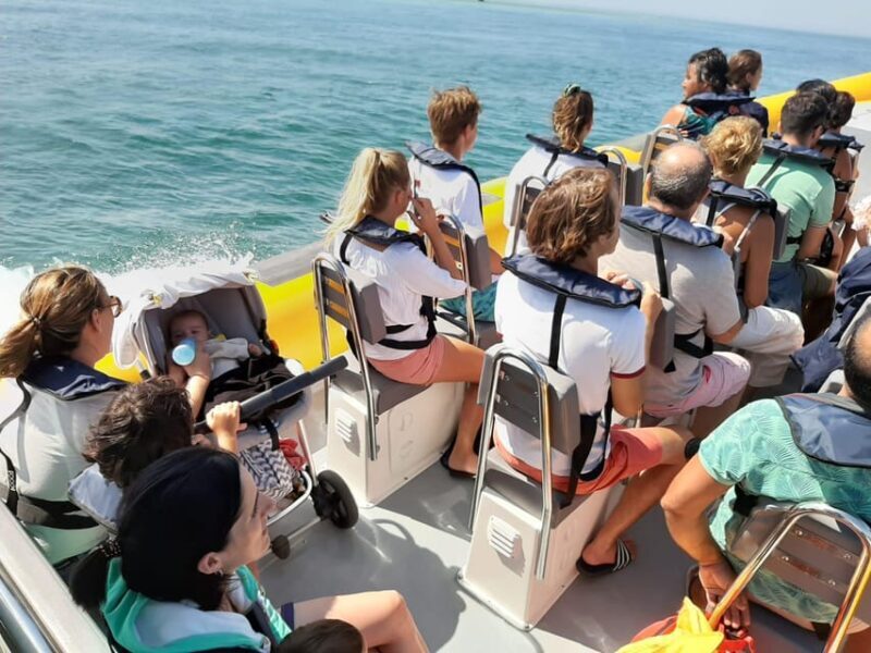 Setúbal and Tróia: Dolphin Watching and Arrábida Bays - The Boat and Group Size