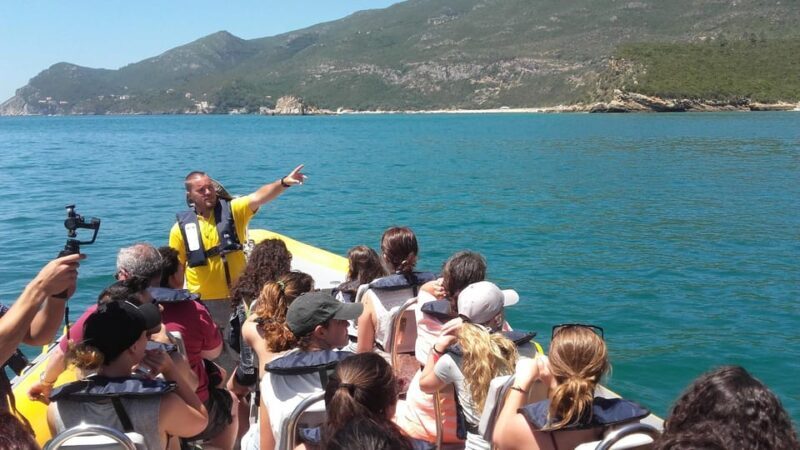 Setúbal and Tróia: Dolphin Watching and Arrábida Bays - Visiting Arrábidas Bays and Landmarks