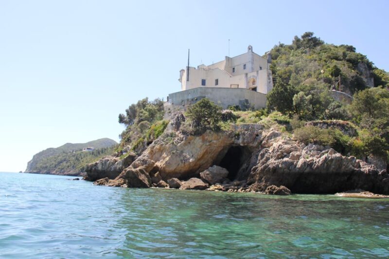 Setúbal and Tróia: Dolphin Watching and Arrábida Bays - Price and Value