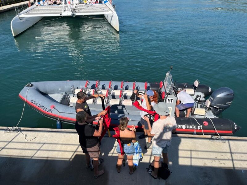 Setúbal: Dolphin-Watching Boat Tour - The Sum Up