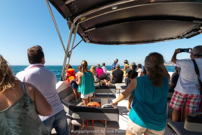 Setúbal: Dolphin Watching Boat Tour - What to Expect During the Tour