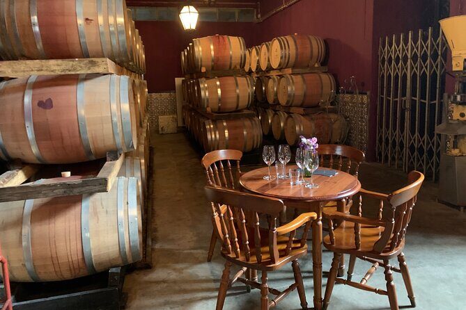 Setúbal Wine Tour with Visit and Tasting at 2 Wineries - Introduction