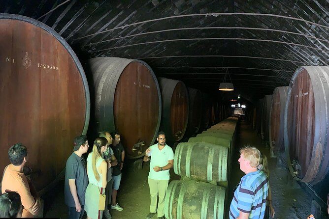 Setúbal Wine Tour with Visit and Tasting at 2 Wineries - The Sum Up