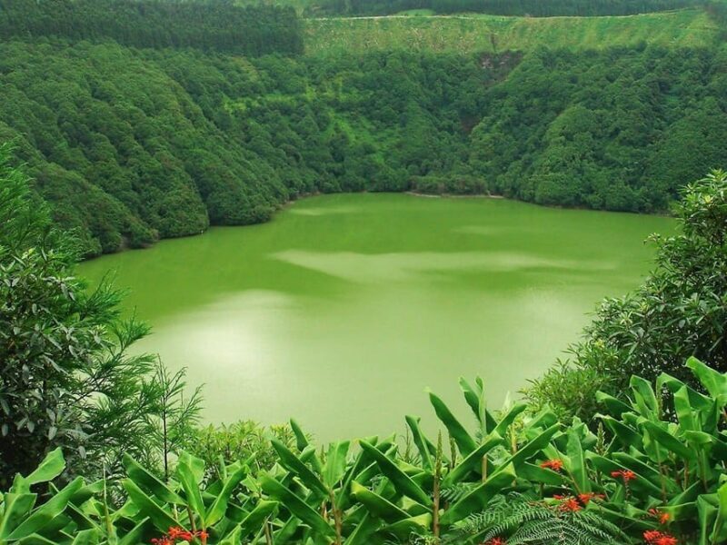 Seven Citys: Guided Tour to green & blue Lake: Sete Cidades - Exploring the Sete Cidades Guided Tour in the Azores