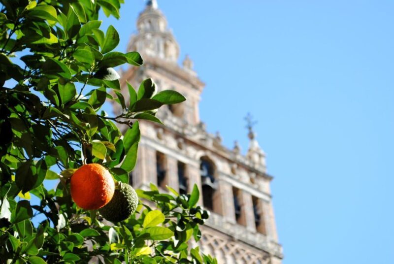 Seville 4-Hour Guided Walking Tour - FAQs