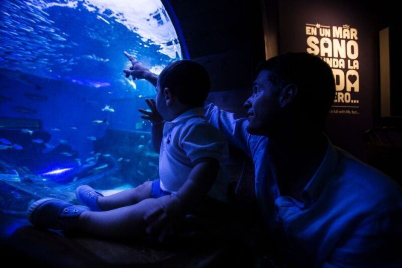 Seville Aquarium Admission Ticket - Who Will Love the Seville Aquarium?