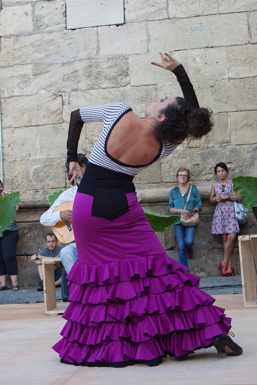 Seville: Enjoy a class of approach to flamenco - Insights from Reviewers: What Makes This Experience Special