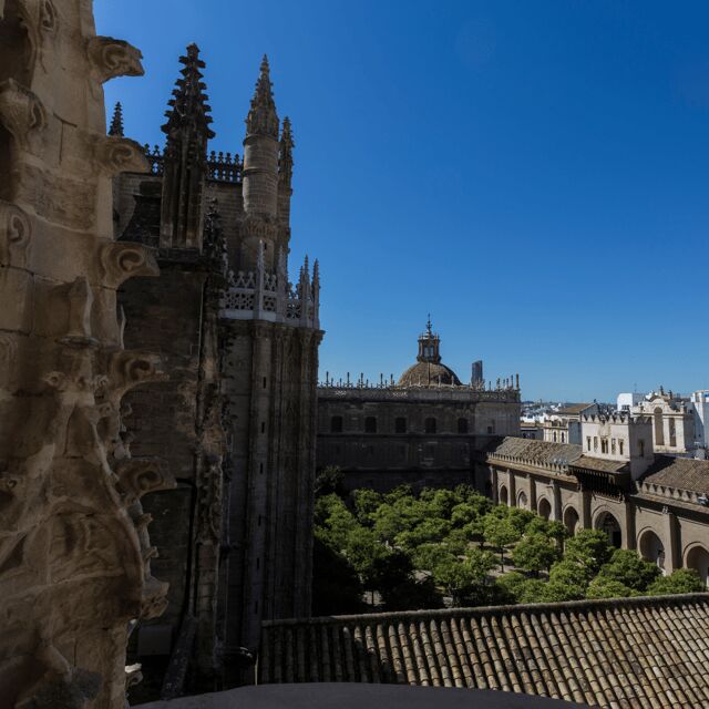 Seville: Fast Track Cathedral Giralda Tower Last minute Tour - Final Thoughts