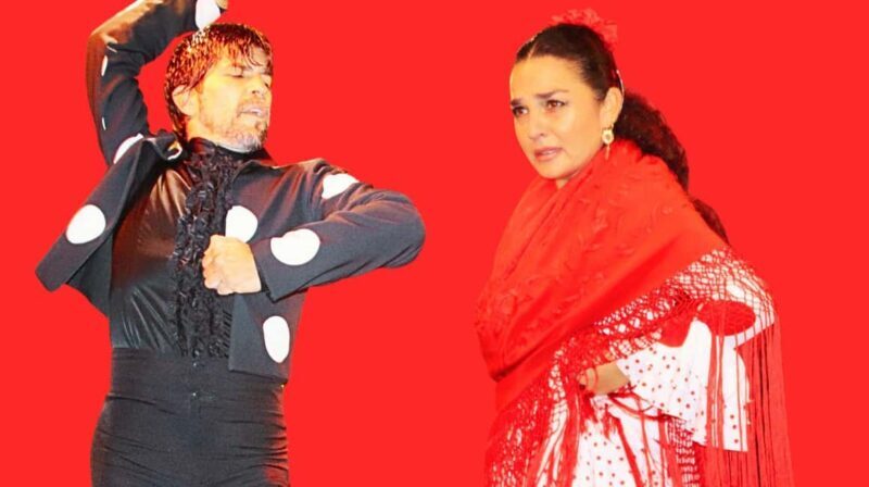 Seville: Flamenco Show & Cocktail Experience - Who Should Consider This Experience?