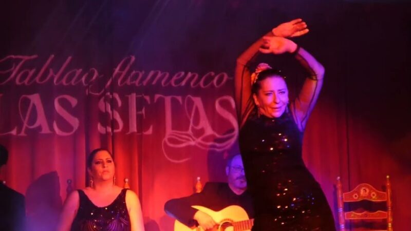 Seville: Flamenco Show & Roof Dinner with Cathedral Views - What to Expect from This Tour