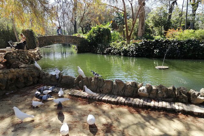 Seville Full Day Tour - Practical Details: What Youll Experience