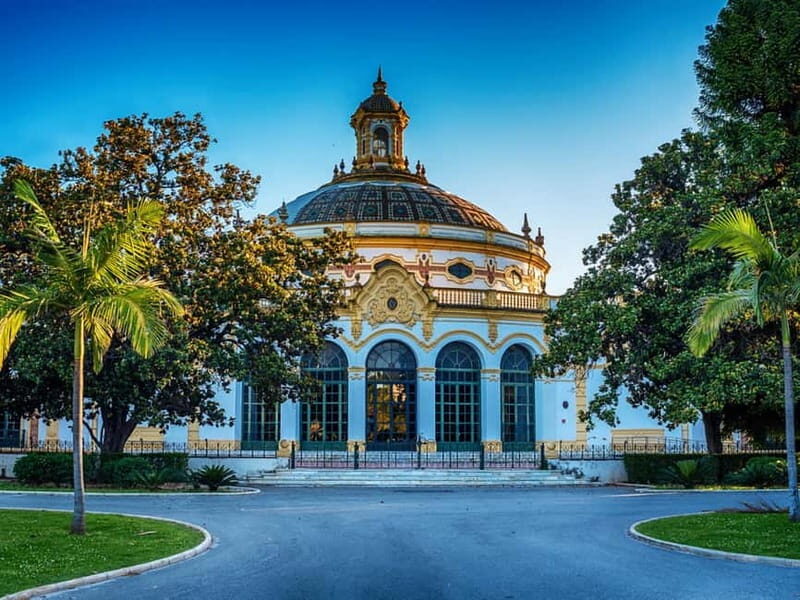 Seville: Highlights & Hidden Gems - Unique NL Bike Tour - Who Should Consider This Tour?