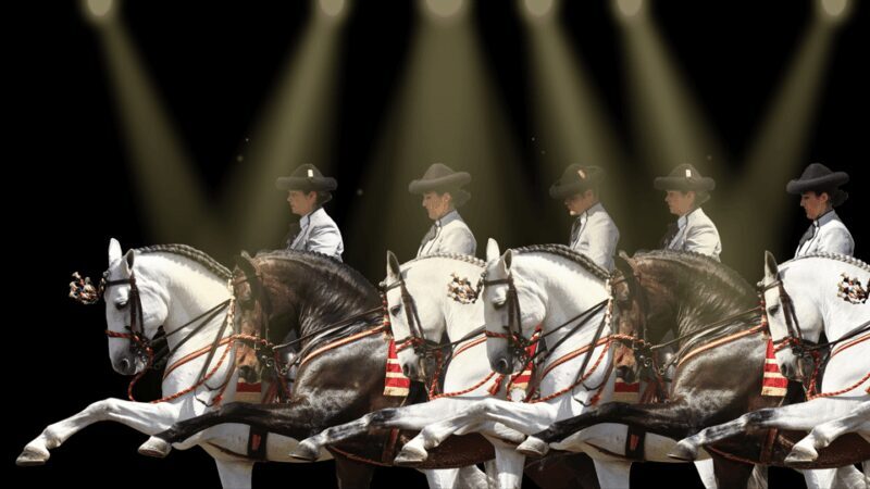 Seville: Horse's Show Entry Ticket. Optional Stud Farm Visit - The Sum Up