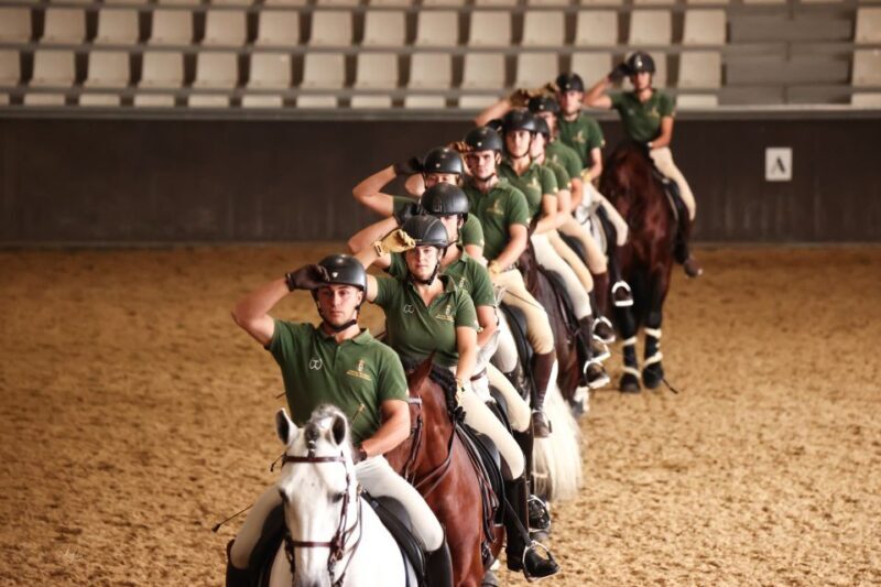 Seville: Horse's Show Entry Ticket. Optional Stud Farm Visit - FAQ