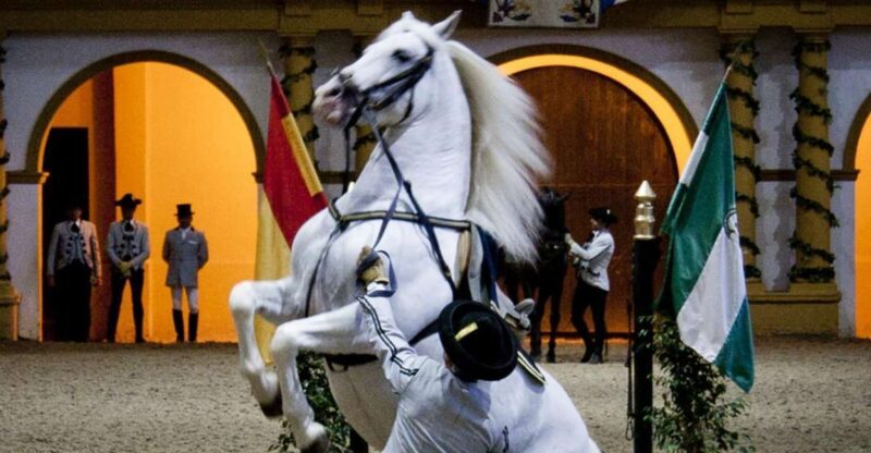 Seville: Jerez, Cadiz Wine Tasting with Optional Horse Show - Key Points