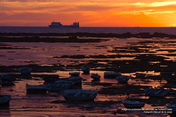 Seville: Jerez, Cadiz Wine Tasting with Optional Horse Show - Exploring Cadiz: A City of Thousands of Years