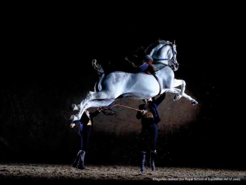 Seville: Jerez, Cadiz Wine Tasting with Optional Horse Show - Transport, Timing, and Overall Value