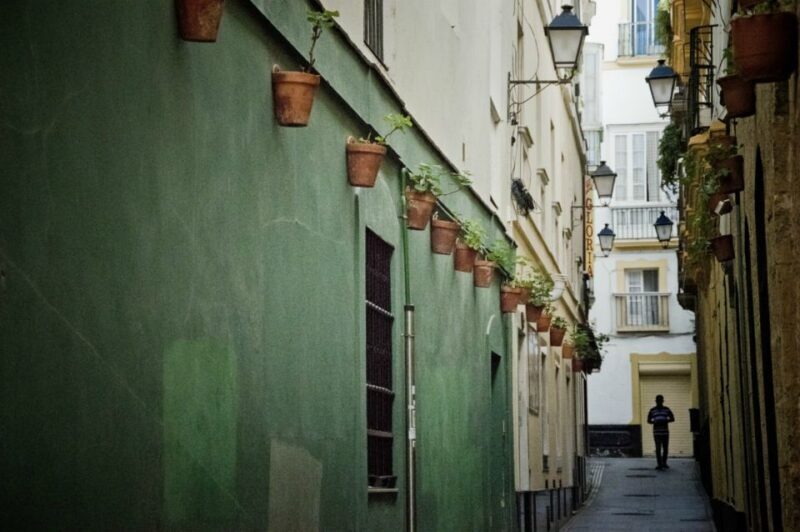 Seville: Jerez, Cadiz Wine Tasting with Optional Horse Show - Final Thoughts