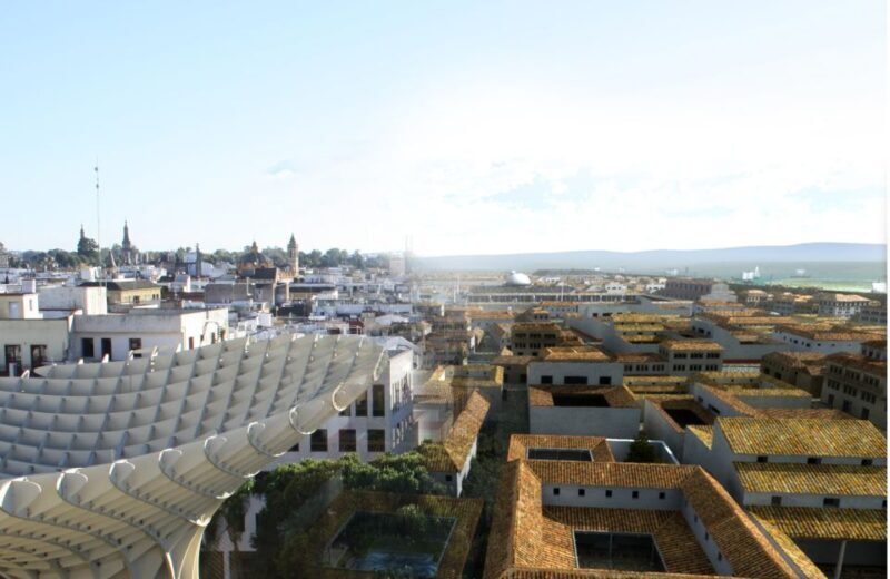 Seville: Las Setas Guided Tour & Optional City Tour - Authentic Insights from Reviewers