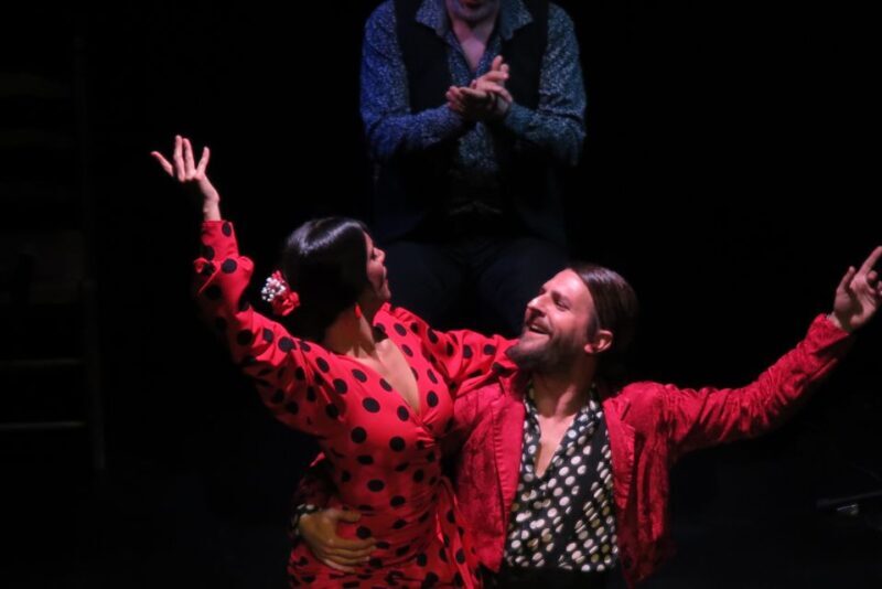 Seville: Live Flamenco Show at "Teatro Flamenco Triana" - Who Will Love This Experience?