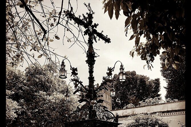 "Seville: Love At First Sight" Private Tour - Real Experiences from Reviewers