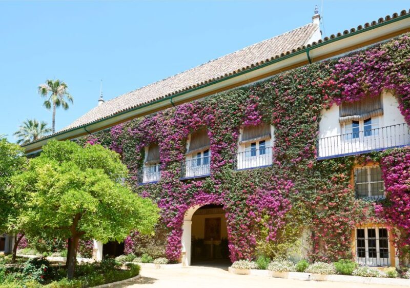 Seville: Palacio de Las Dueñas Entry Ticket and Guided Tour - FAQ