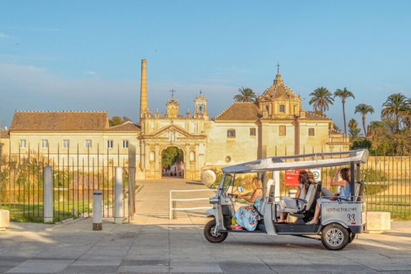 Seville: Private City Tour by Eco Tuk Tuk - Inside the Experience: What You Can Expect