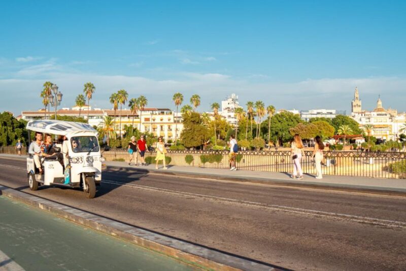 Seville: Private City Tour by Eco Tuk Tuk - Value and Practicality