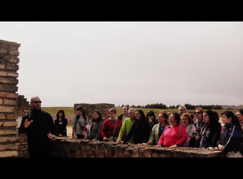 Seville: Roman City of Itálica 2 Hour Tour - Who Should Consider This Tour?  