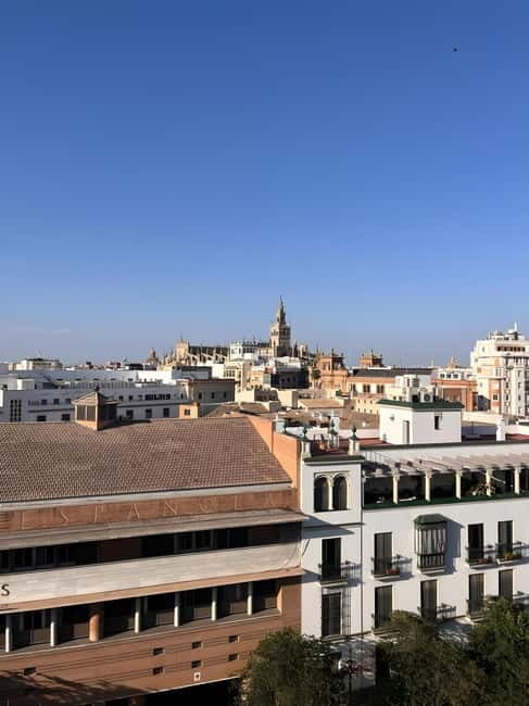 Seville: Rooftop Terrace with Panoramic Views - Who Will Love This Experience?