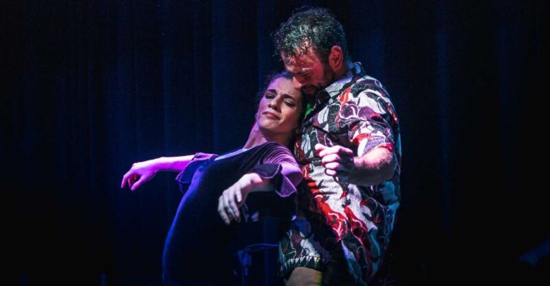 Seville: Traditional Flamenco Show in Triana - A Closer Look at the Flamenco Show in Triana