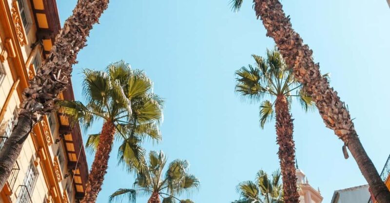 Seville: Transfer to Málaga with visit to Ronda - A Scenic Drive into Andalusia’s Heartland