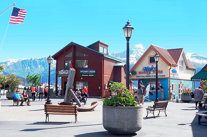 Seward Alaska City Tour and Glacier Viewing - Who Is This Tour Best For?