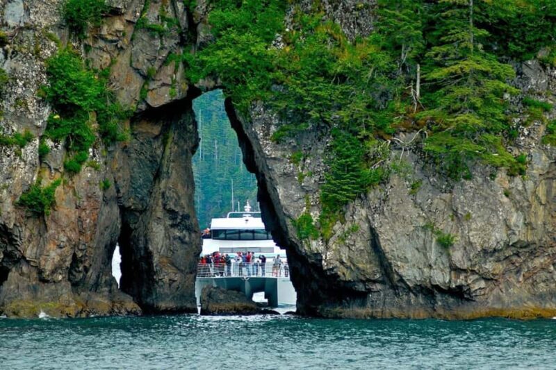 Seward: Captain's Choice Kenai Fjords National Park Tour - Key Points