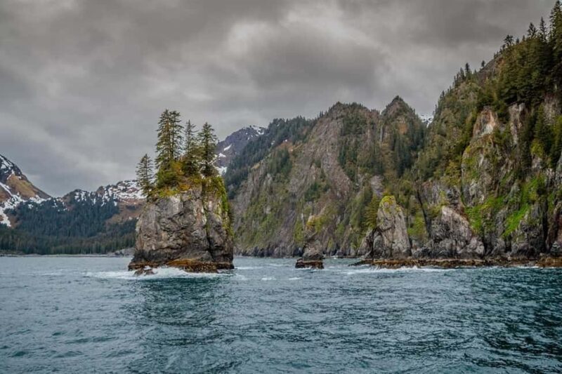 Seward: Captain's Choice Kenai Fjords National Park Tour - Who Should Book This Tour?