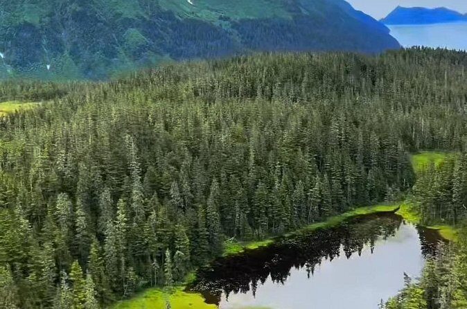 Seward Scenic 30 min Flight - Who Will Love This Tour?