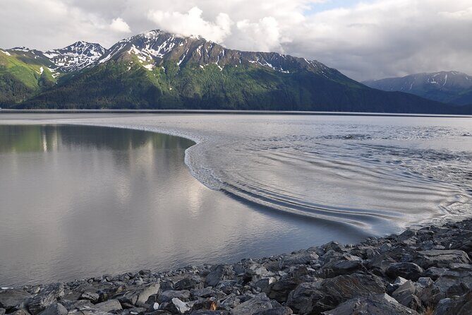 Seward to Anchorage Direct Transfer Tour - An Honest Look at the Seward to Anchorage Transfer Experience