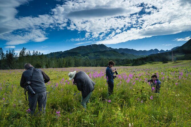 Seward to Anchorage Scenic Transfer Photo Tour - An In-Depth Look at the Seward to Anchorage Scenic Photo Tour