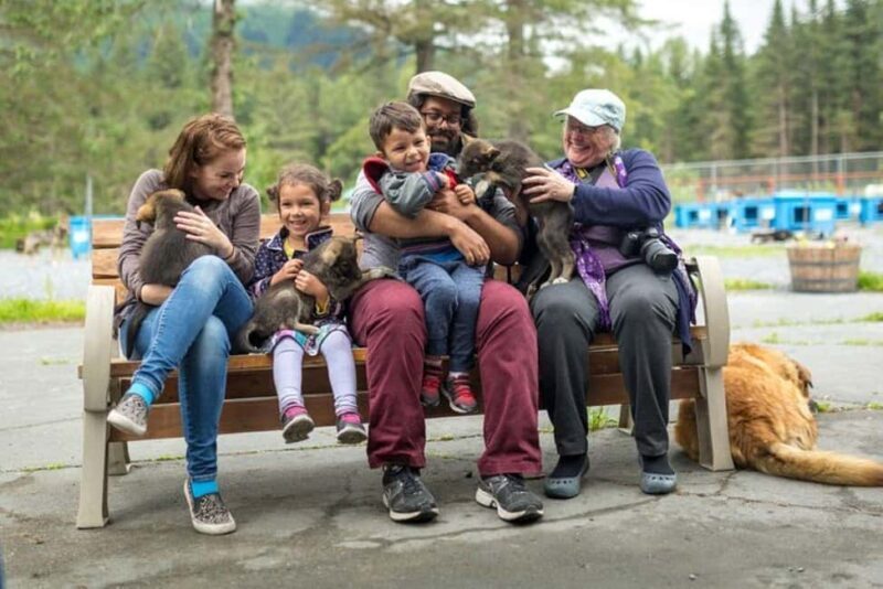 Seward: Turning Heads Kennel Tour & Dog Sled Ride - Introduction to the Seward Kennel Tour & Dog Sled Ride