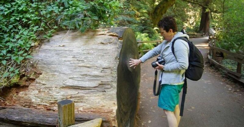 SF: Guided Muir Woods Tour & Hop-On Hop-Off Tour (Save 15%) - Exploring the Itinerary