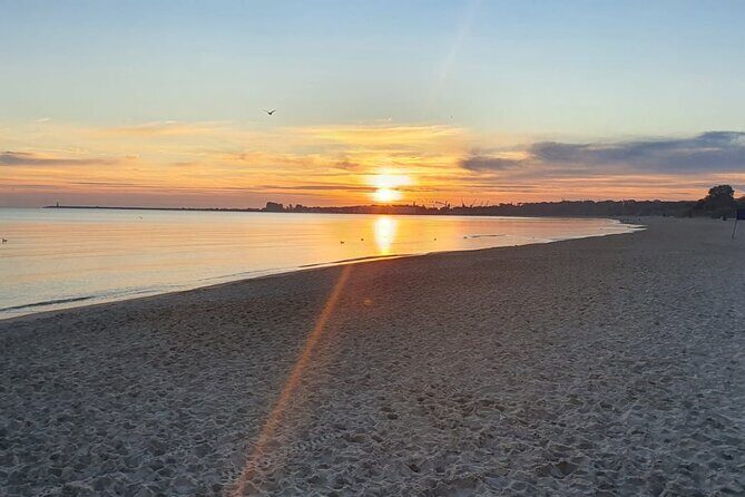 Shannon Airport to Cork, Private Chauffeur Service - The Journey from Shannon Airport to Cork: What to Expect