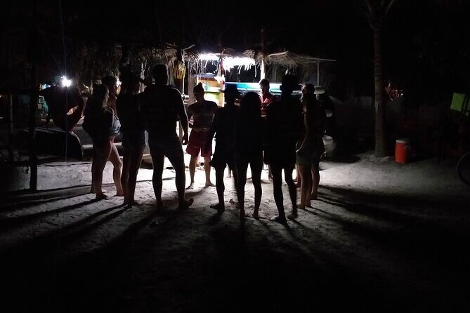 Shared Bioluminescence kayak tour in Holbox - Should You Book This Tour?