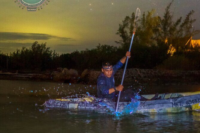Shared Bioluminescence kayak tour in Holbox - Final Thoughts