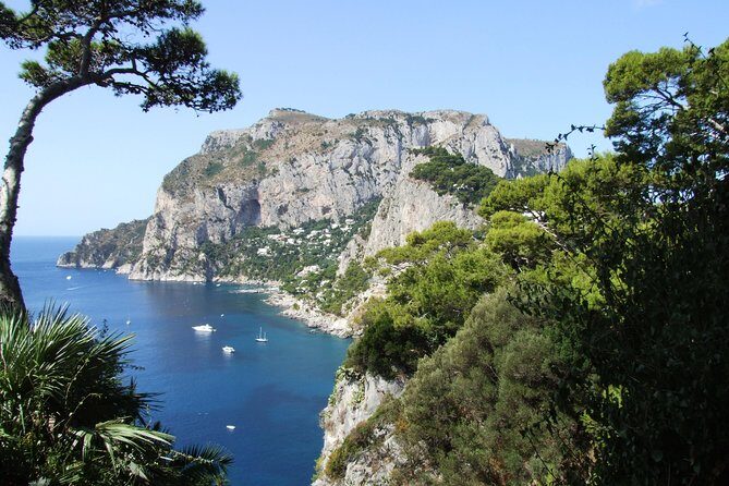 Shared Capri & Anacapri Full-Day Tour from Sorrento - Key Points