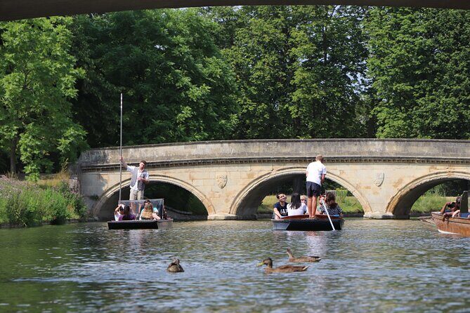 Shared Chauffeured Punt Tour - A Deep Dive into the Punting Experience