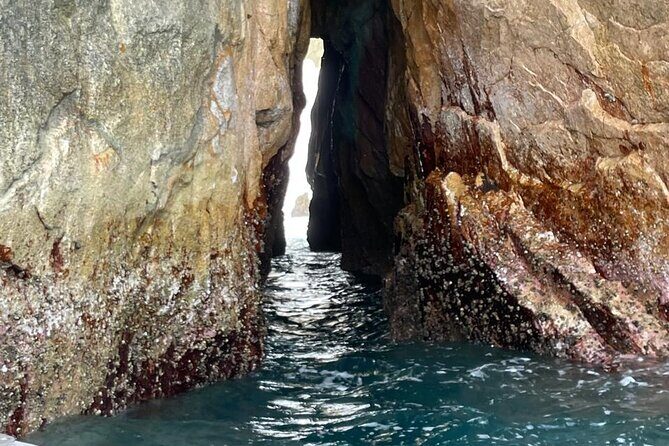 Shared Experience Glass Bottom Boat to the Arch in Cabo San Lucas - Who Will Appreciate This Tour?
