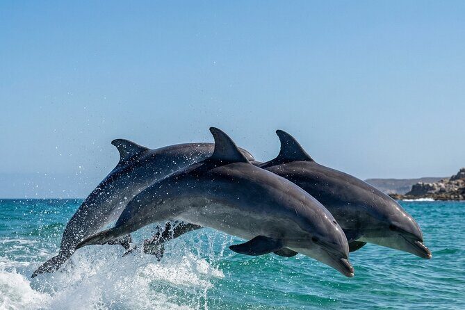 Shared Fiji Experience Rakiraki Tour by Land and Sea - Key Points