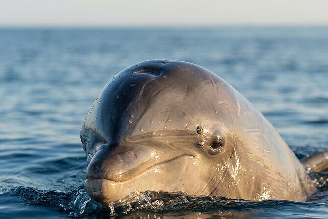 Shared Fiji Experience Rakiraki Tour by Land and Sea - Exploring the Rakiraki Land and Sea Tour in Detail